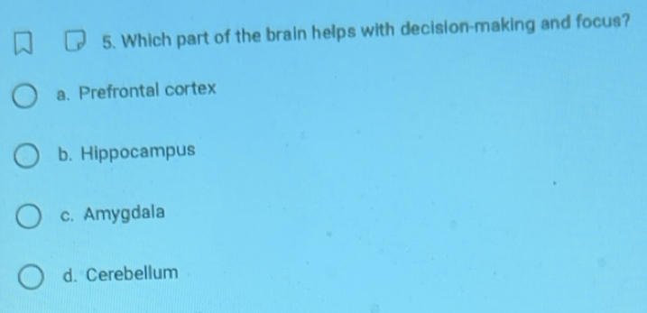 Solved: Which part of the brain helps with decision-making and focus? a ...