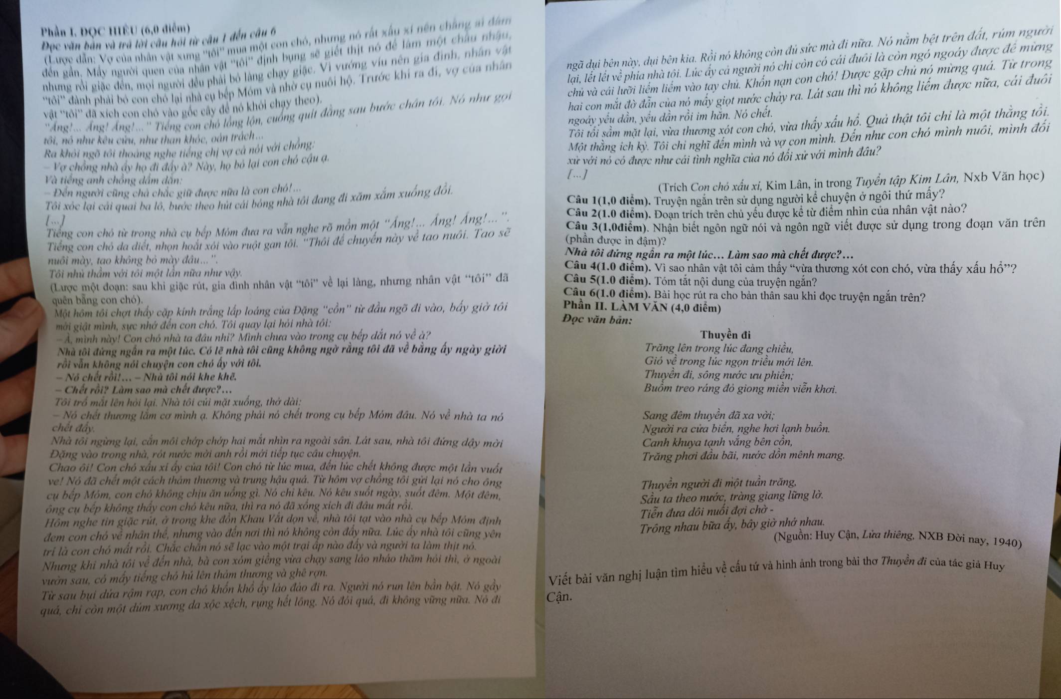 Phần I. ĐQC HIÊU (6,0 điểm) Đọc văn bản và trà tời câu hối từ câu 1 đến ...