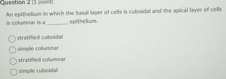 Solved: An epithelium in which the basal layer of cells is cuboidal and ...