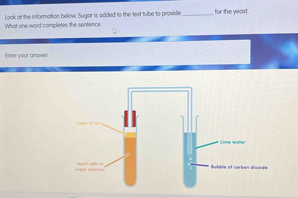 Solved: Look at the information below. Sugar is added to the test tube ...