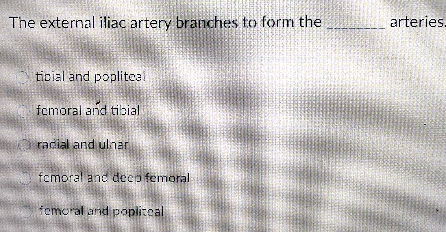 Solved: The external iliac artery branches to form the _arteries ...