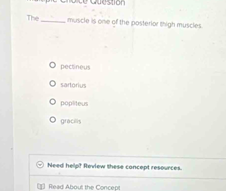 Solved: Choice Question The _muscle is one of the posterior thigh ...