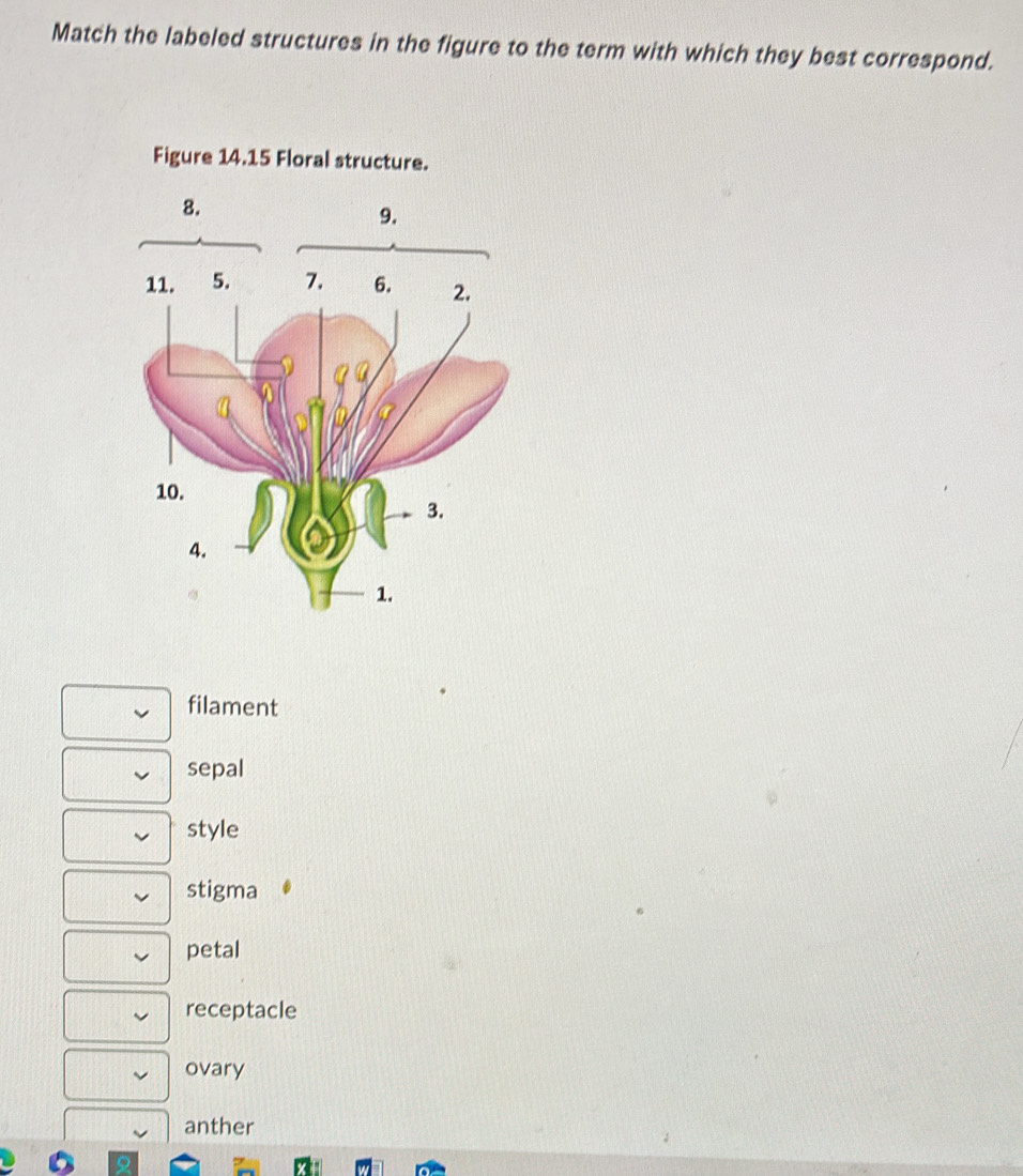 Solved: Match the labeled structures in the figure to the term with ...