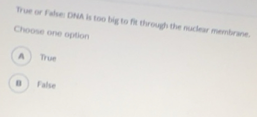 Solved: True or False: DNA is too big to fit through the nuclear ...