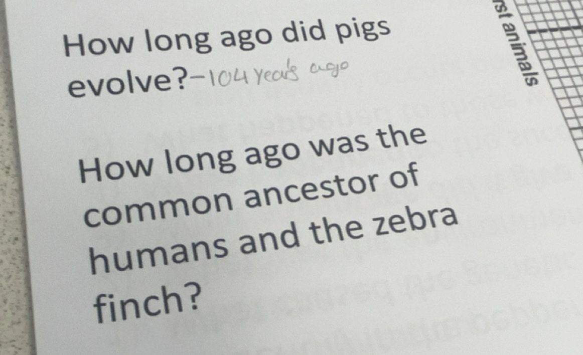 Gelöst:How long ago did pigs evolve? How long ago was the common ...