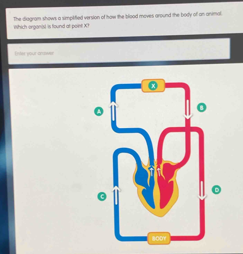 Solved: The diagram shows a simplified version of how the blood moves ...