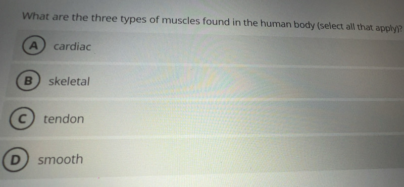 Solved: What are the three types of muscles found in the human body ...