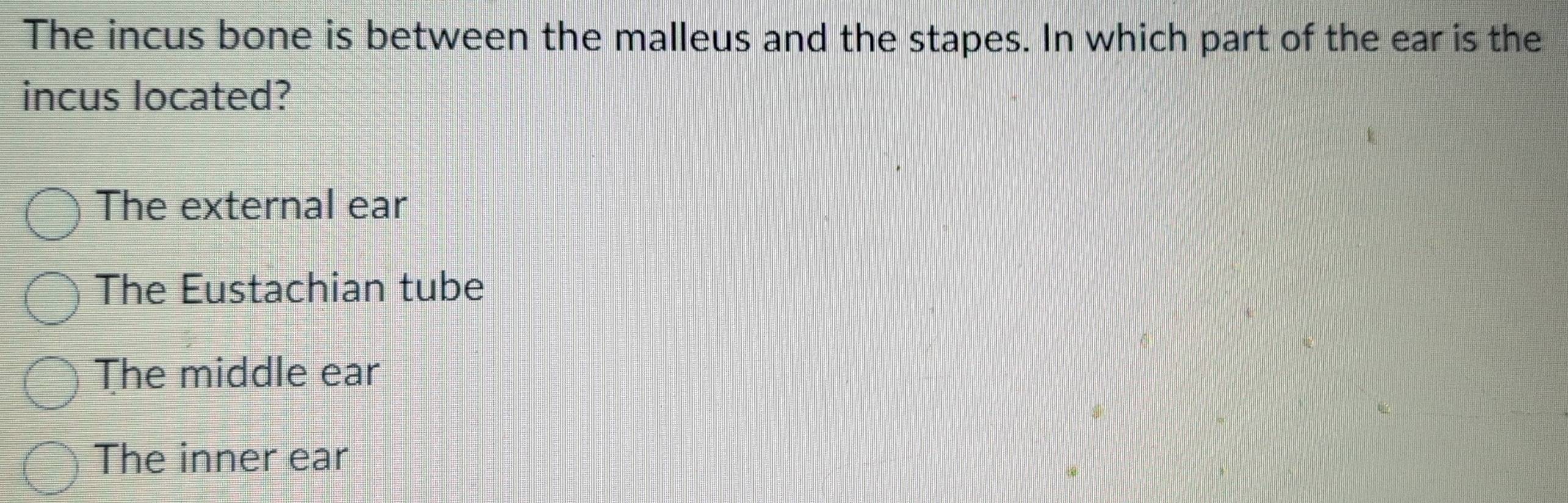 Solved: The incus bone is between the malleus and the stapes. In which ...