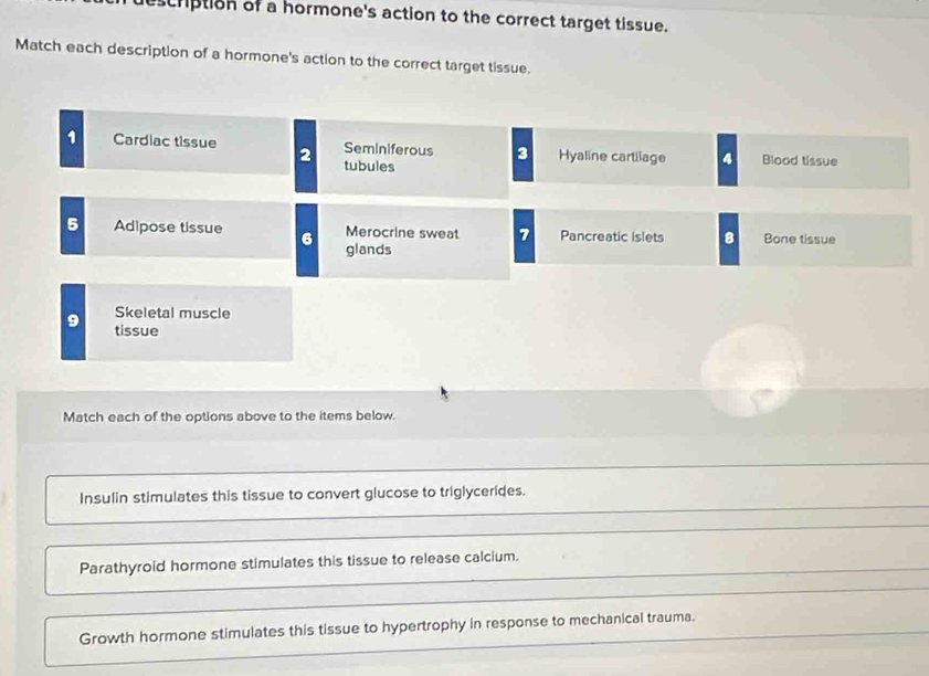 Solved: escription of a hormone's action to the correct target tissue ...