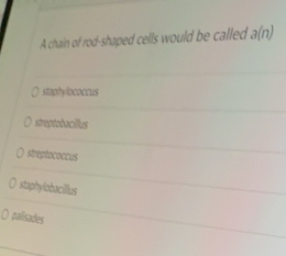 Solved: A chain of rod-shaped cells would be called a(n) staphylococcus ...