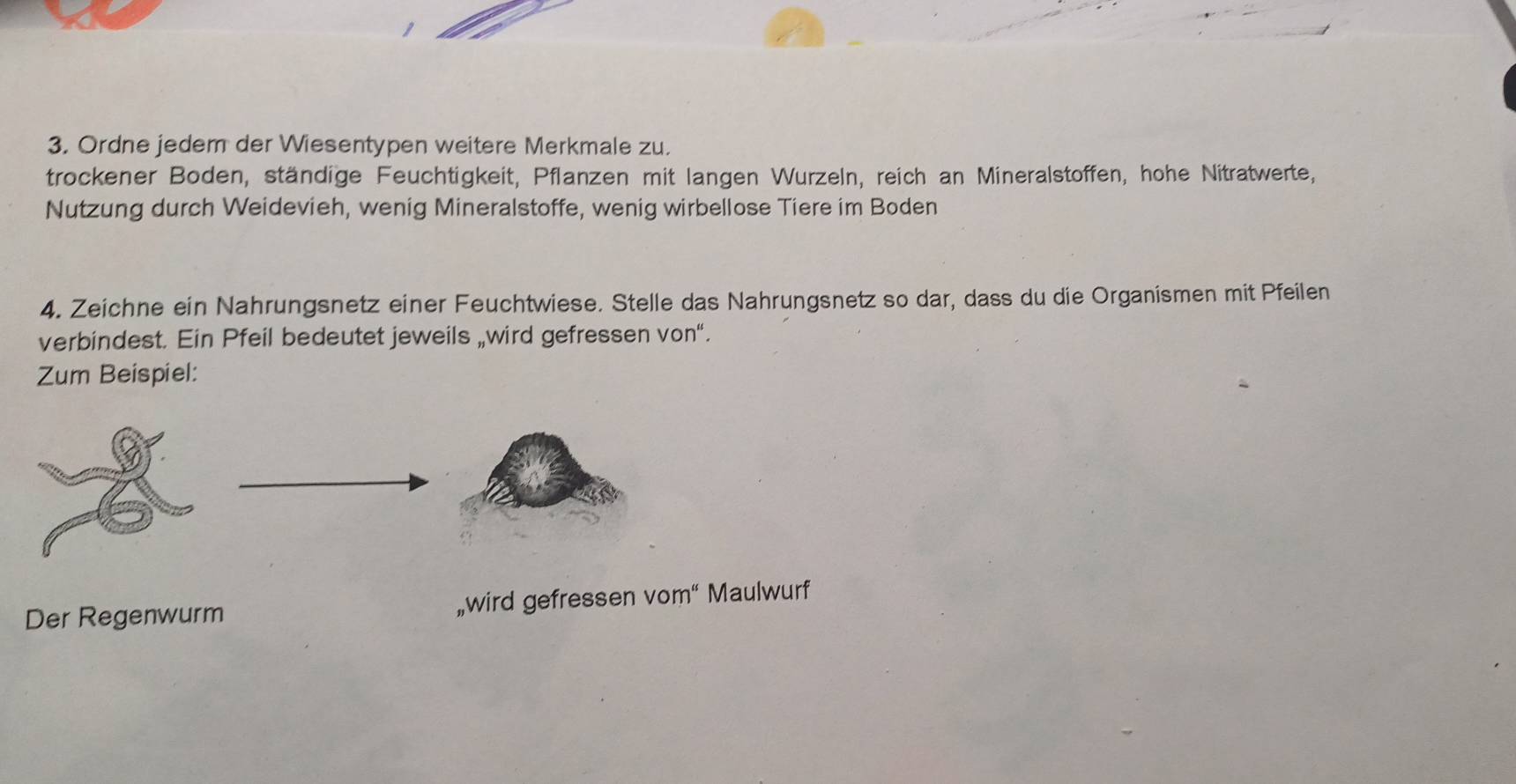 Gelöst:Ordne jedem der Wiesentypen weitere Merkmale zu. trockener Boden ...
