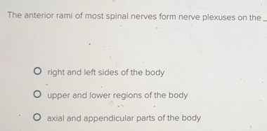 Solved: The anterior rami of most spinal nerves form nerve plexuses on ...