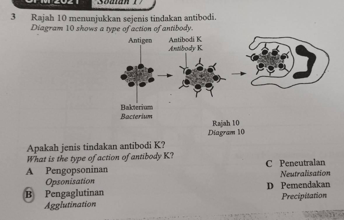 Selesai:202 Soalan 17 3 Rajah 10 menunjukkan sejenis tindakan antibodi ...