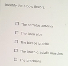 Solved: Identify the elbow flexors. The serratus anterior The linea ...