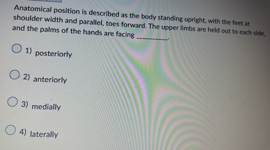 Solved: Anatomical position is described as the body standing upright ...