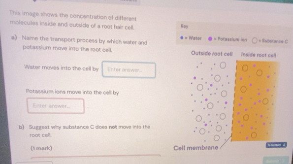 Solved: This image shows the concentration of different molecules ...