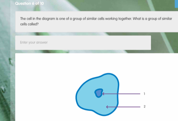 Solved: The cell in the diagram is one of a group of similar cells ...