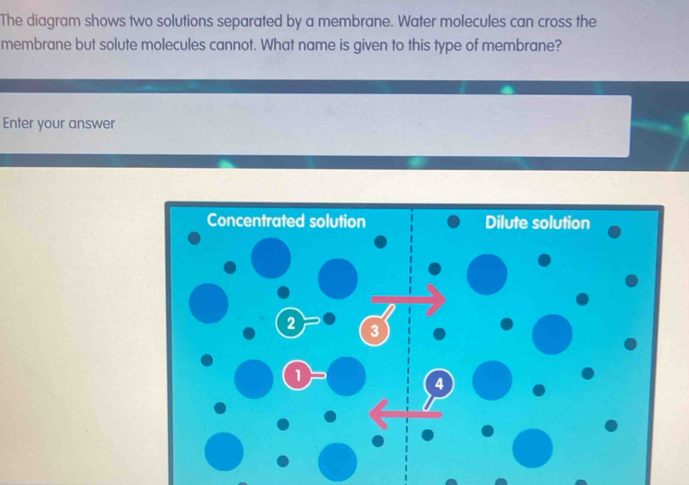 Solved: The diagram shows two solutions separated by a membrane. Water molecules can cross the ...