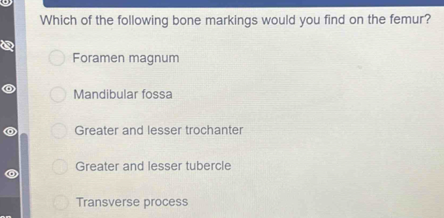 Solved: Which of the following bone markings would you find on the ...