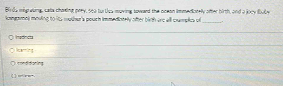 Solved: Birds migrating, cats chasing prey, sea turtles moving toward ...
