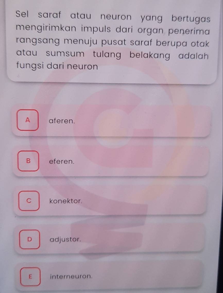Telah dijawab:Sel saraf atau neuron yang bertugas mengirimkan impuls ...