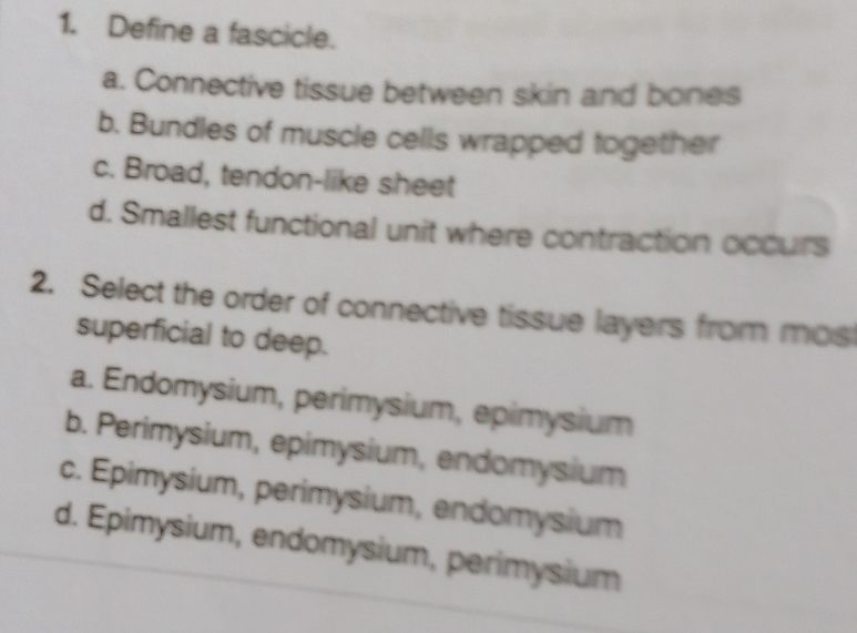 Solved: Define a fascicle. a. Connective tissue between skin and bones ...