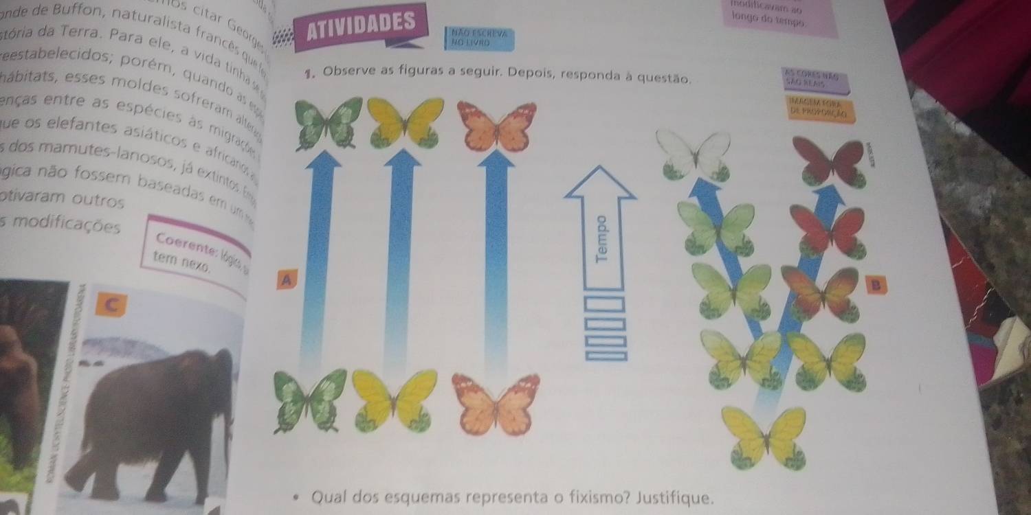 Resolvido:oditicavam ao ATIVIDADES longo do tempo. citar George Hão ...