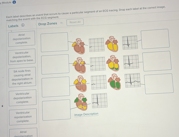 Solved: Module Each label describes an event that occurs to cause a ...