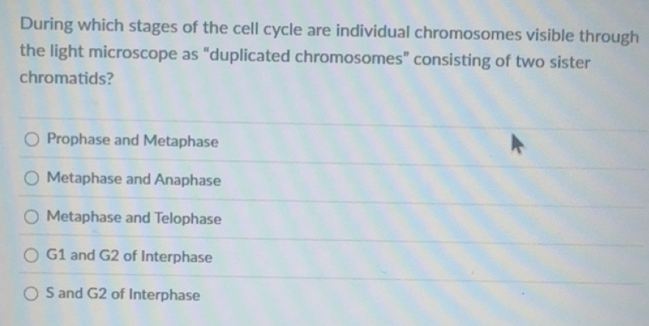 Solved: During which stages of the cell cycle are individual ...
