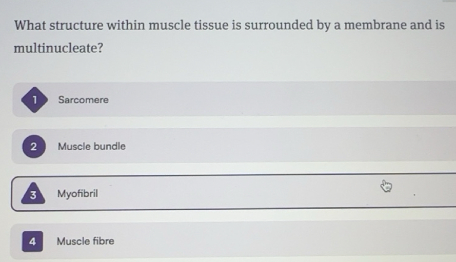 Resuelto:What structure within muscle tissue is surrounded by a ...