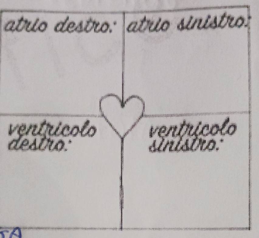 Risolto:atrio destro: atrio sinistro: v
