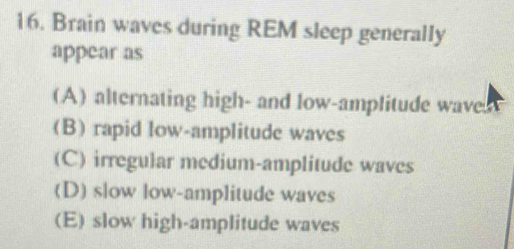 Solved: Brain waves during REM sleep generally appear as (A ...
