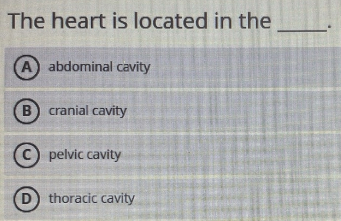 Solved: The heart is located in the _ Aabdominal cavity B cranial ...