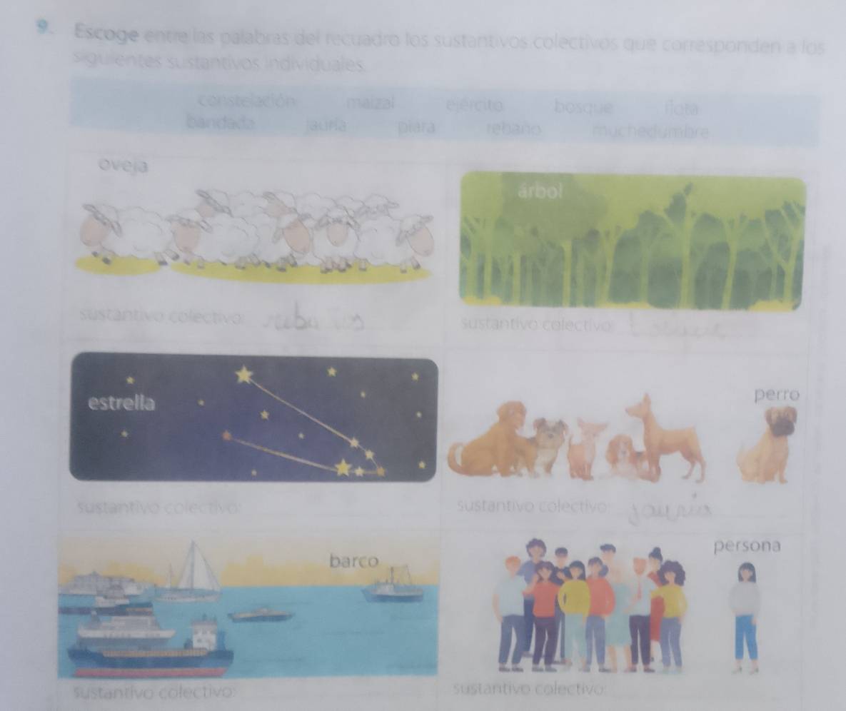 Resuelto:Escoge entre las palabras del recuadro los sustantivos ...