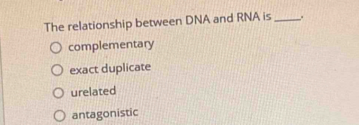 Solved: The relationship between DNA and RNA is _. complementary exact ...