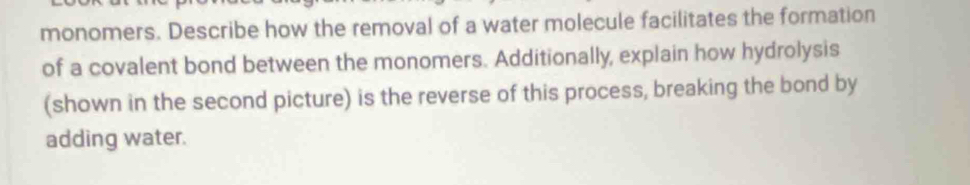Solved: monomers. Describe how the removal of a water molecule ...