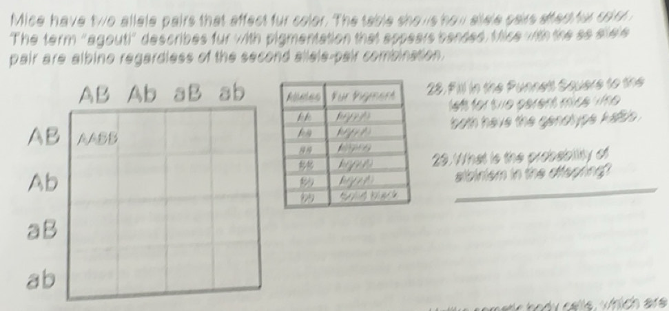 Solved: Mice have two allele pairs that affect fur color. The table ...