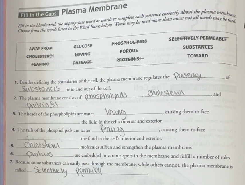 Solved: Fill in the Gaps | Plasma Membrane Fill in the blanks with the ...
