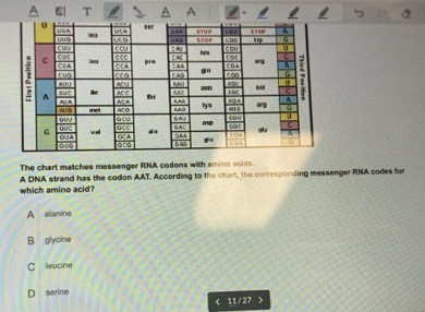 Résolu :The chart matches messenger RNA codons with amino acids. which ...