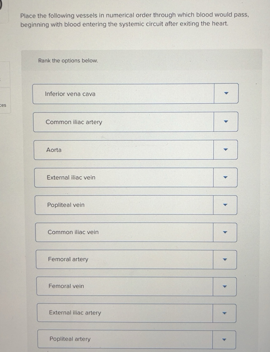 Solved: Place the following vessels in numerical order through which ...