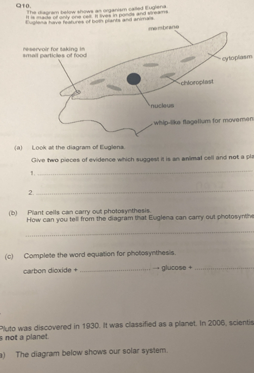 Solved: The diagram below shows an organism called Euglena. It is made ...