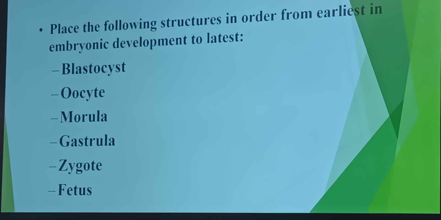 Solved: Place the following structures in order from earliest in ...