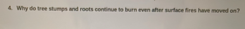 Solved: Why do tree stumps and roots continue to burn even after ...