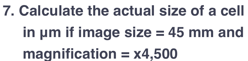 Solved: Calculate the actual size of a cell in μm if image size =45 mm ...
