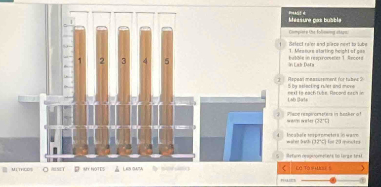 Solved: PHASE 4 Measure gas bubble Complere the followng steps; 1 ...
