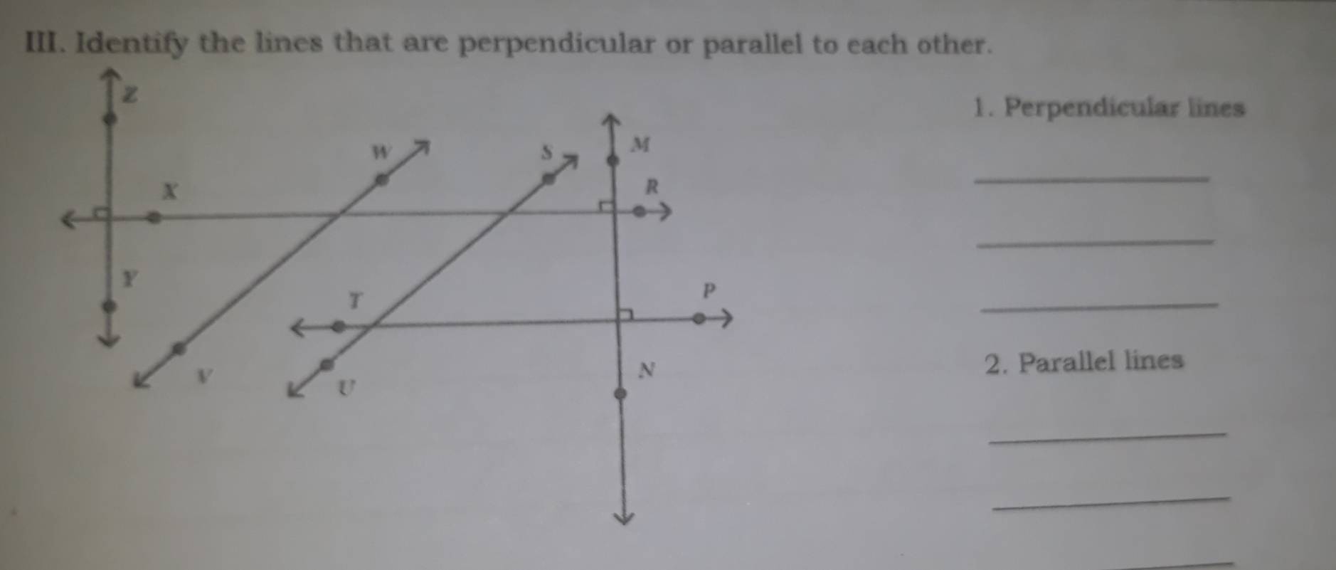 Solved: Identify the lines that are perpendicular or parallel to each ...