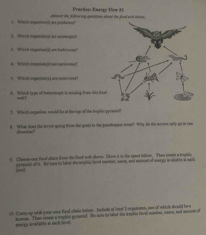 Solved: Practice: Energy Flow #1 Answer the following questions about ...