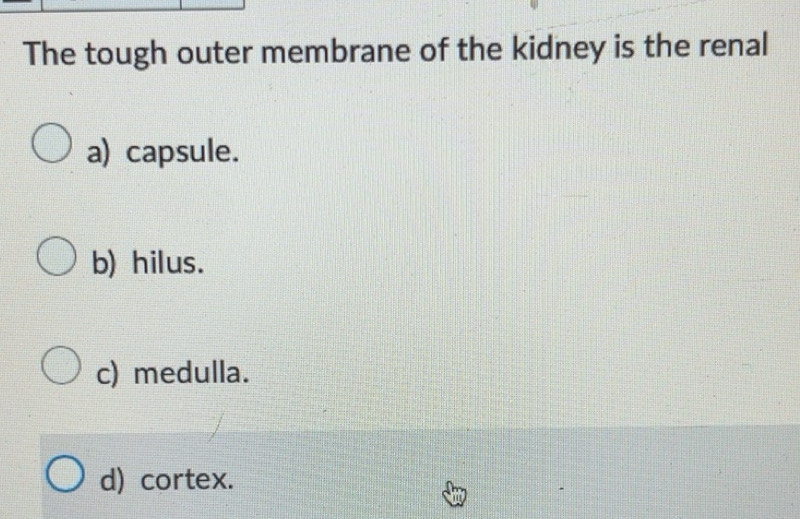 Solved: The tough outer membrane of the kidney is the renal a) capsule ...
