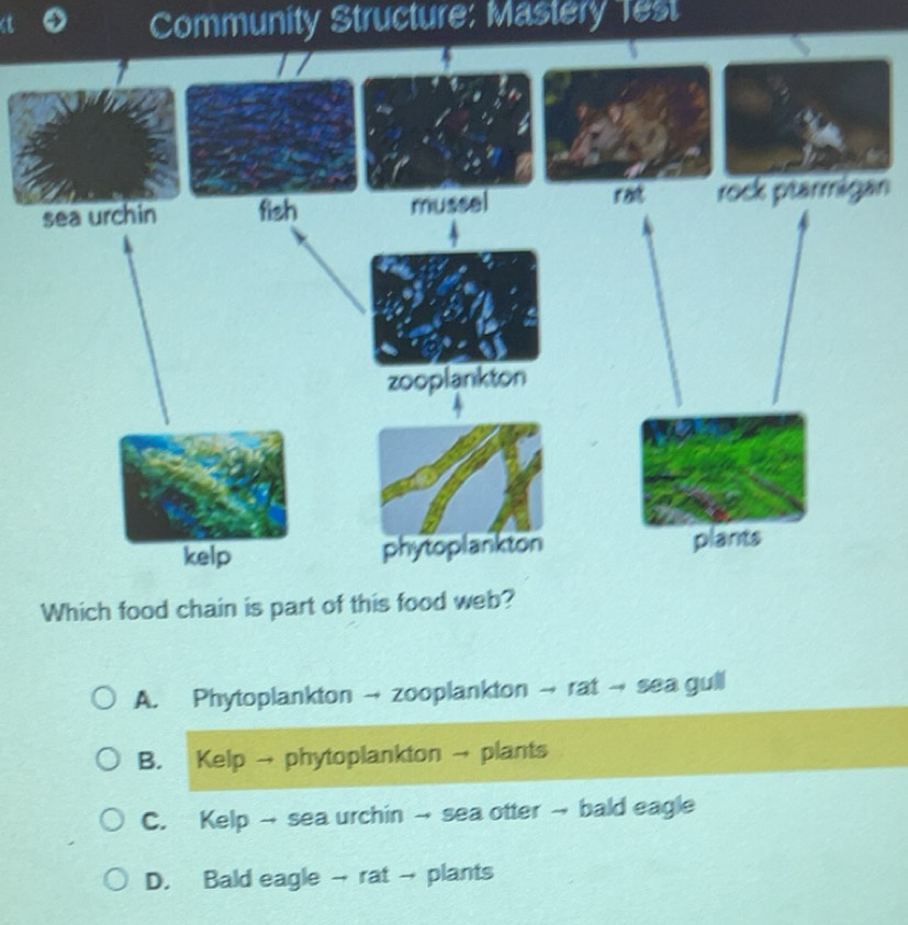 Solved: Community Structure: Mastery Test n Which food chain is part of ...