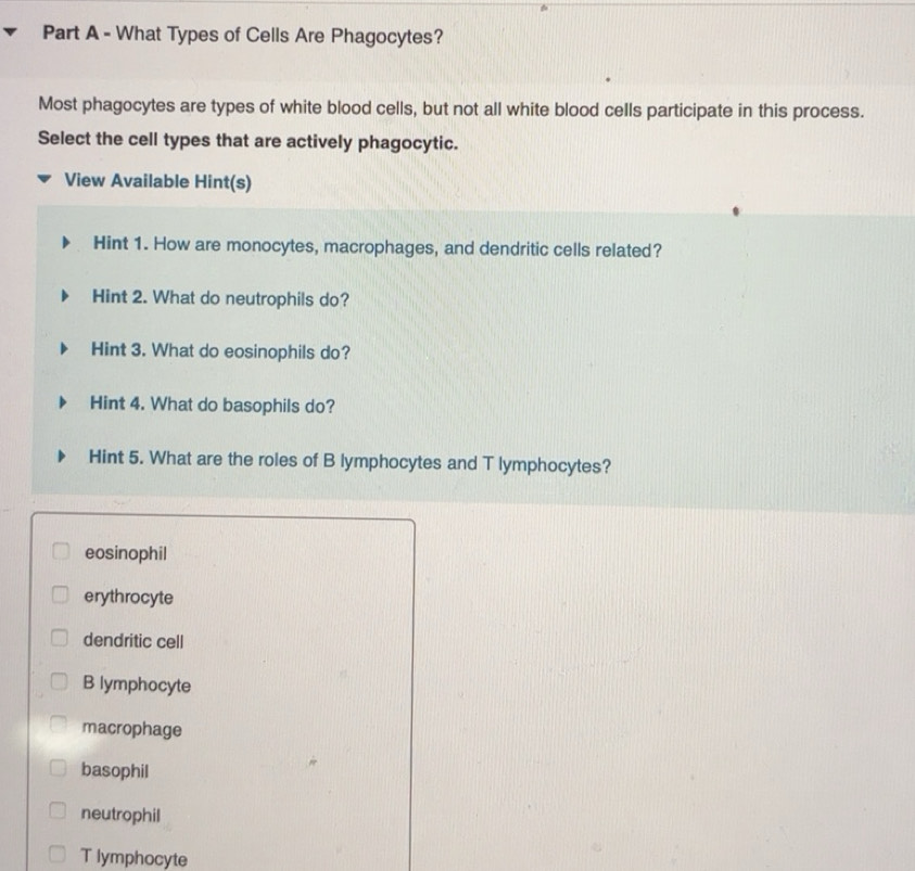 Solved: What Types of Cells Are Phagocytes? Most phagocytes are types ...